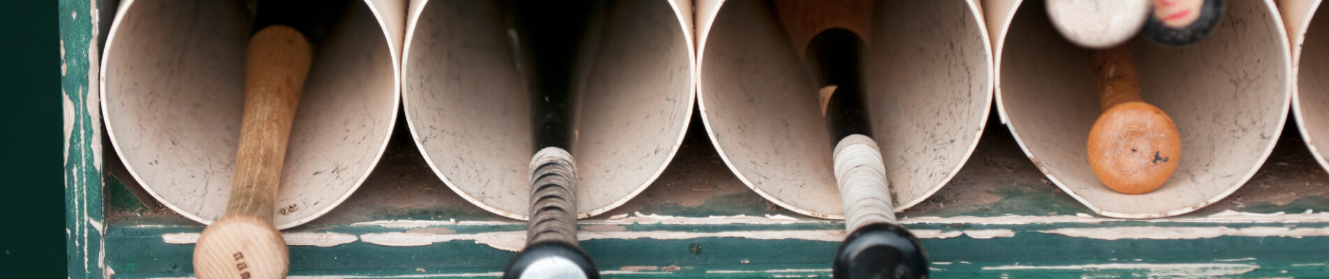 Meet Cubs superfan: Tyler Grote | Wintrust Indiana